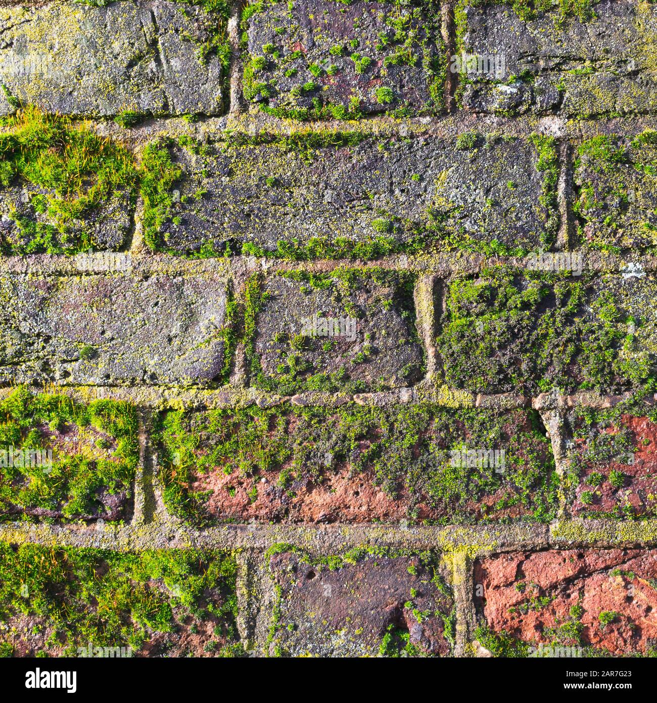 Mossy stone brick wall texture hi-res stock photography and images - Alamy