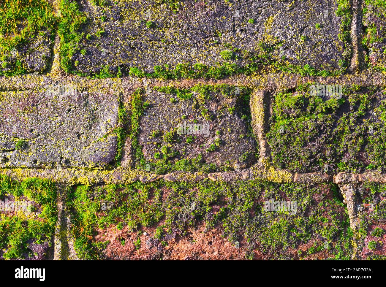 Mossy stone brick wall texture hi-res stock photography and images - Alamy