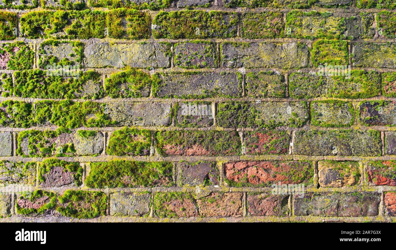 Mossy stone brick wall texture hi-res stock photography and images - Alamy