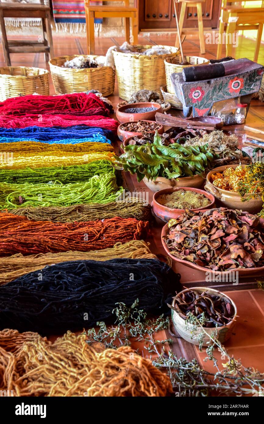 A display of different coloured wool skeins dyed with natural materials ...