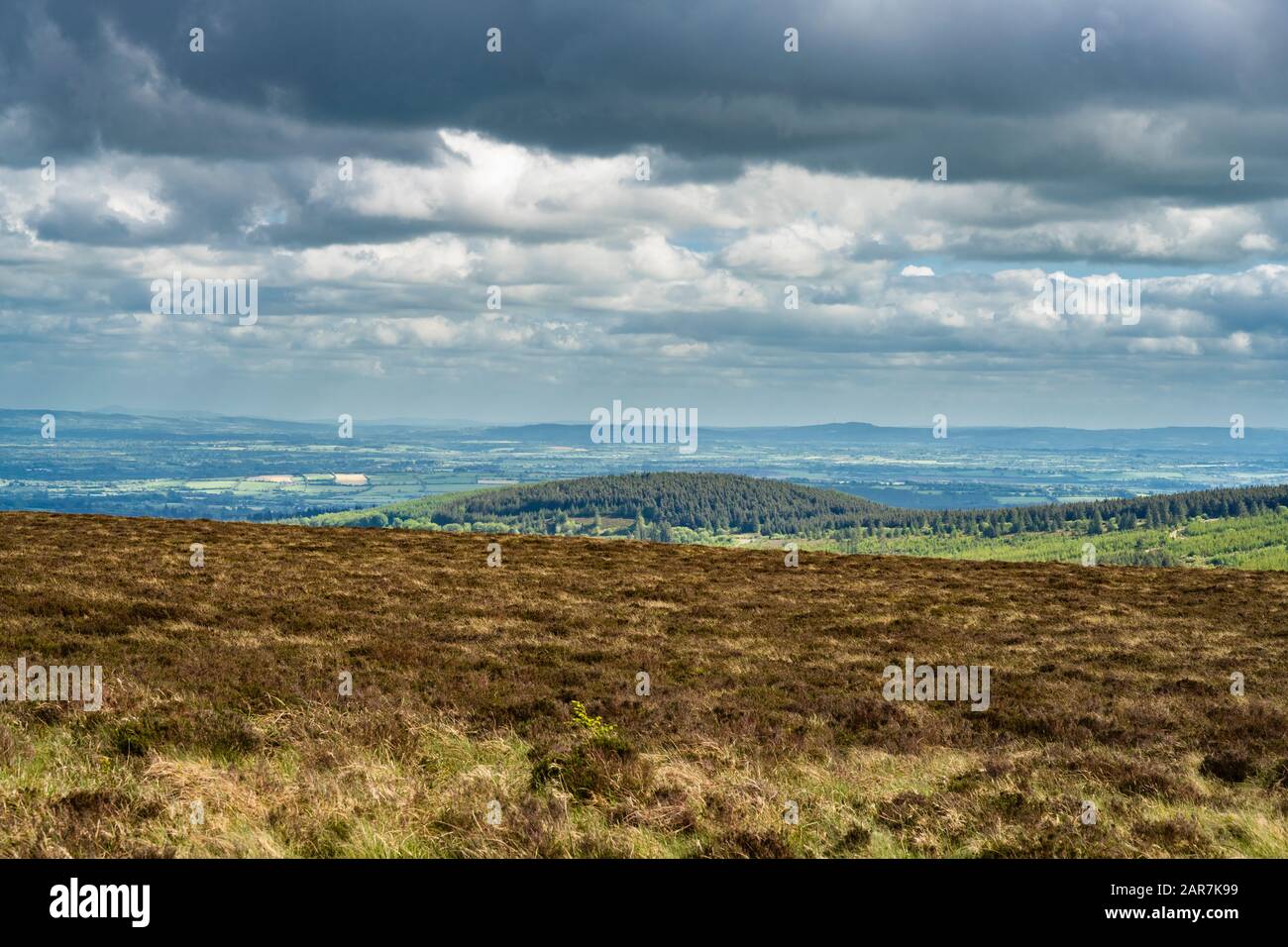 View over bog and heathland on top of Wolftrap Mountain, Slieve Bloom ...