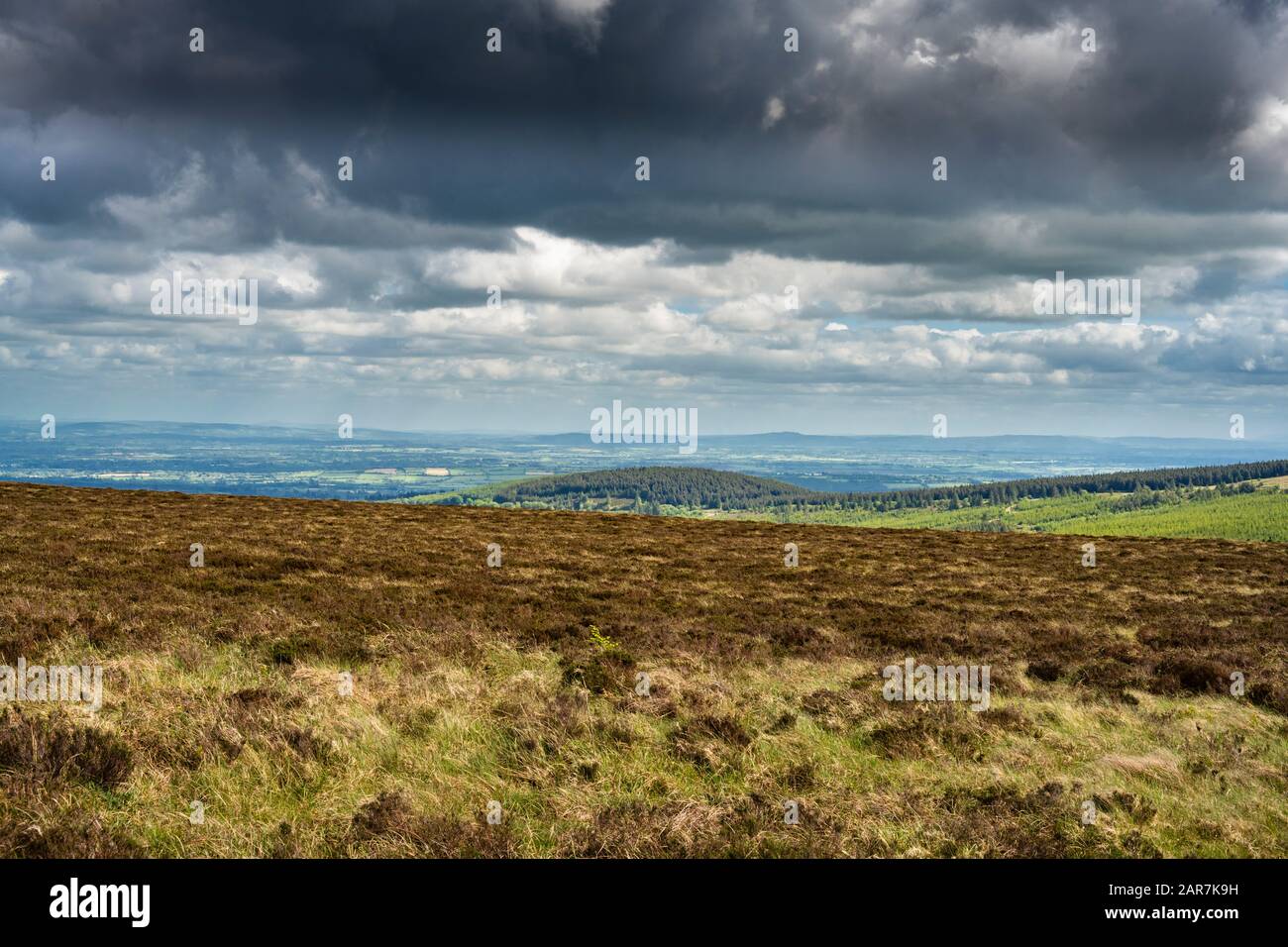 View over bog and heathland on top of Wolftrap Mountain, Slieve Bloom ...