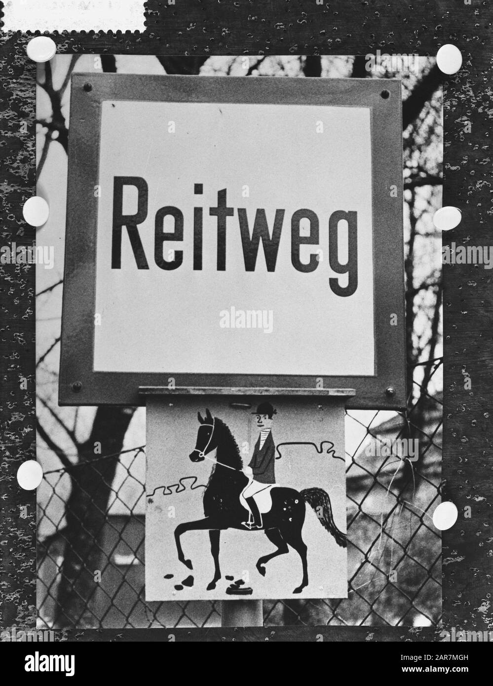 Road sign for the equestrian trail in the Prater Hauptallee Vienna Date ...