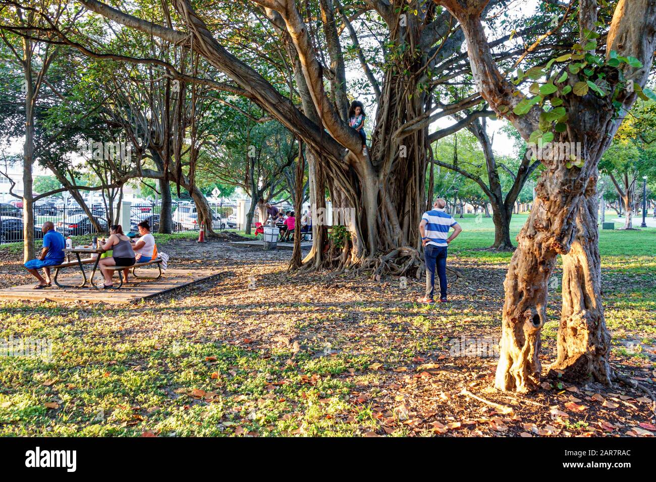 Miami Beach Florida,North Shore Park,picnic tables table,family ...