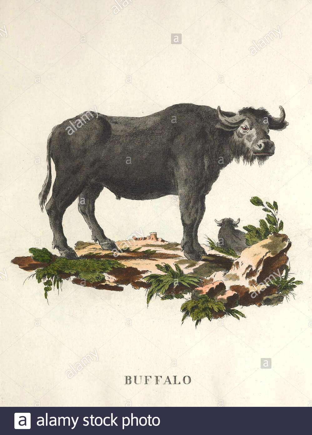 Illustration illustrated illustrations hi-res stock photography and ...