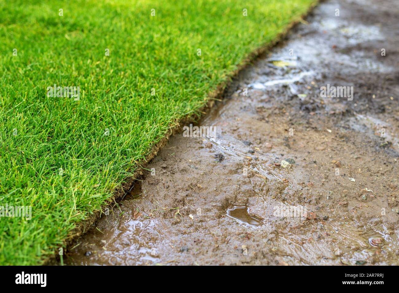 Straigh line of new freshly installed green rolled lawn grass . dirt ...