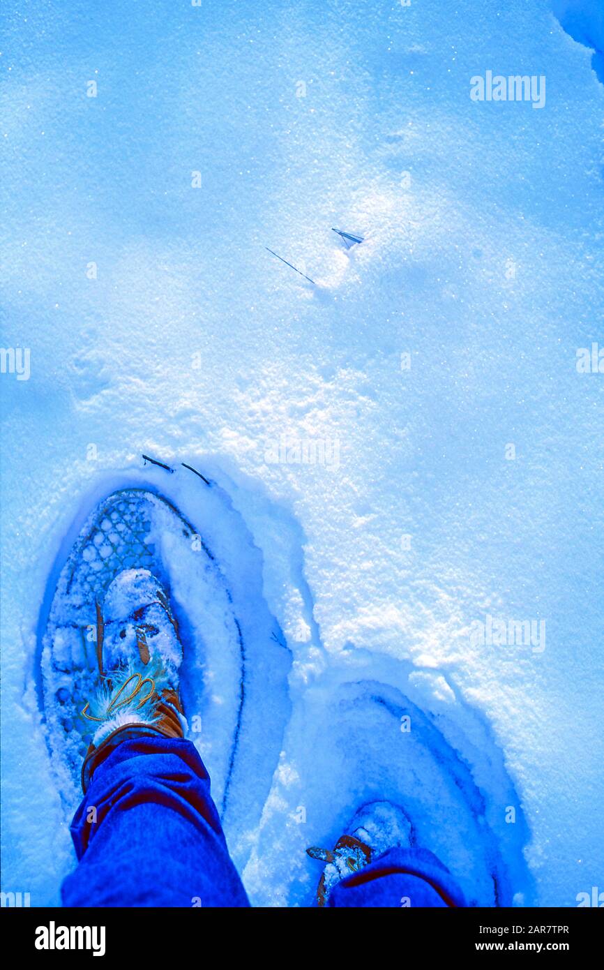 Traditional snowshoes hi-res stock photography and images - Alamy