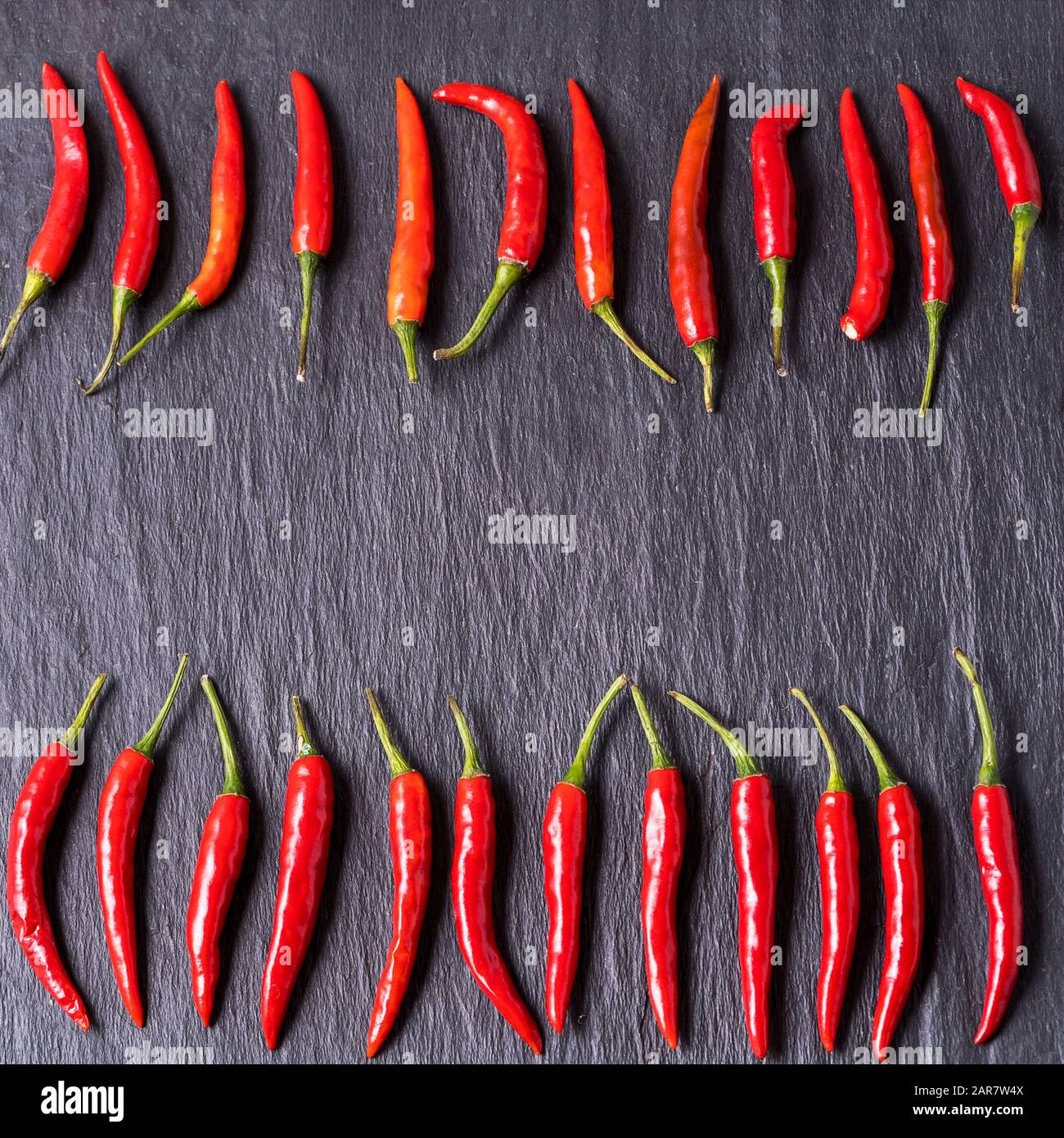 Flat lay two horizontal rows of red fresh chili peppers on black ...