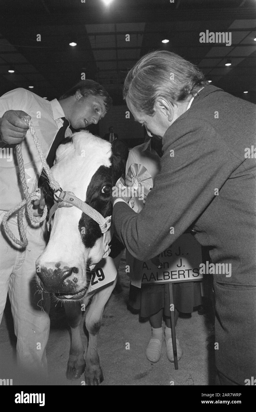 Prince Claus awards the prizes to the winning cows the Frisian Studbook ...