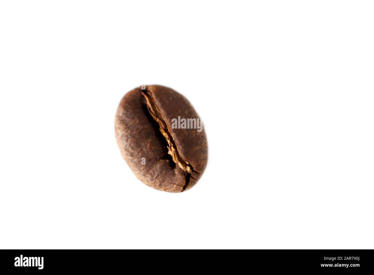 Shiny fresh roasted coffee bean isolated on white background Stock ...