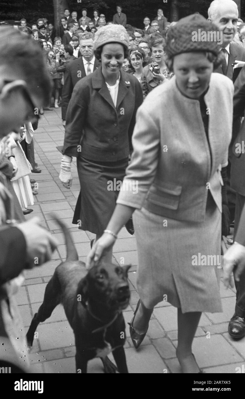 Festival dog Black and White Stock Photos & Images - Alamy