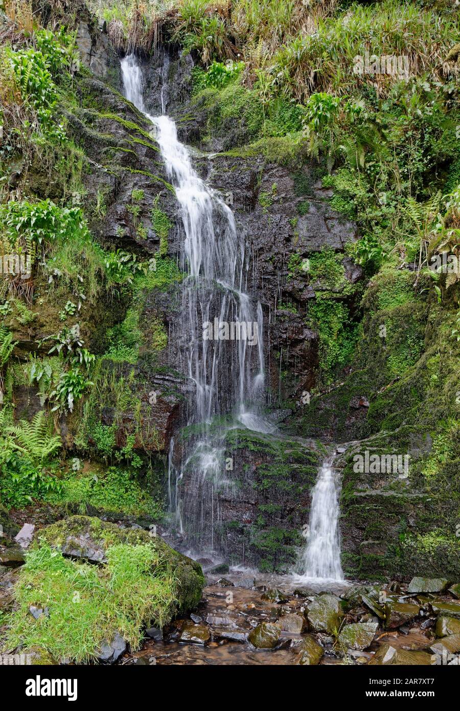 Hollow Brook Waterfall below Martinhoe on North Devon Coast Path Stock ...