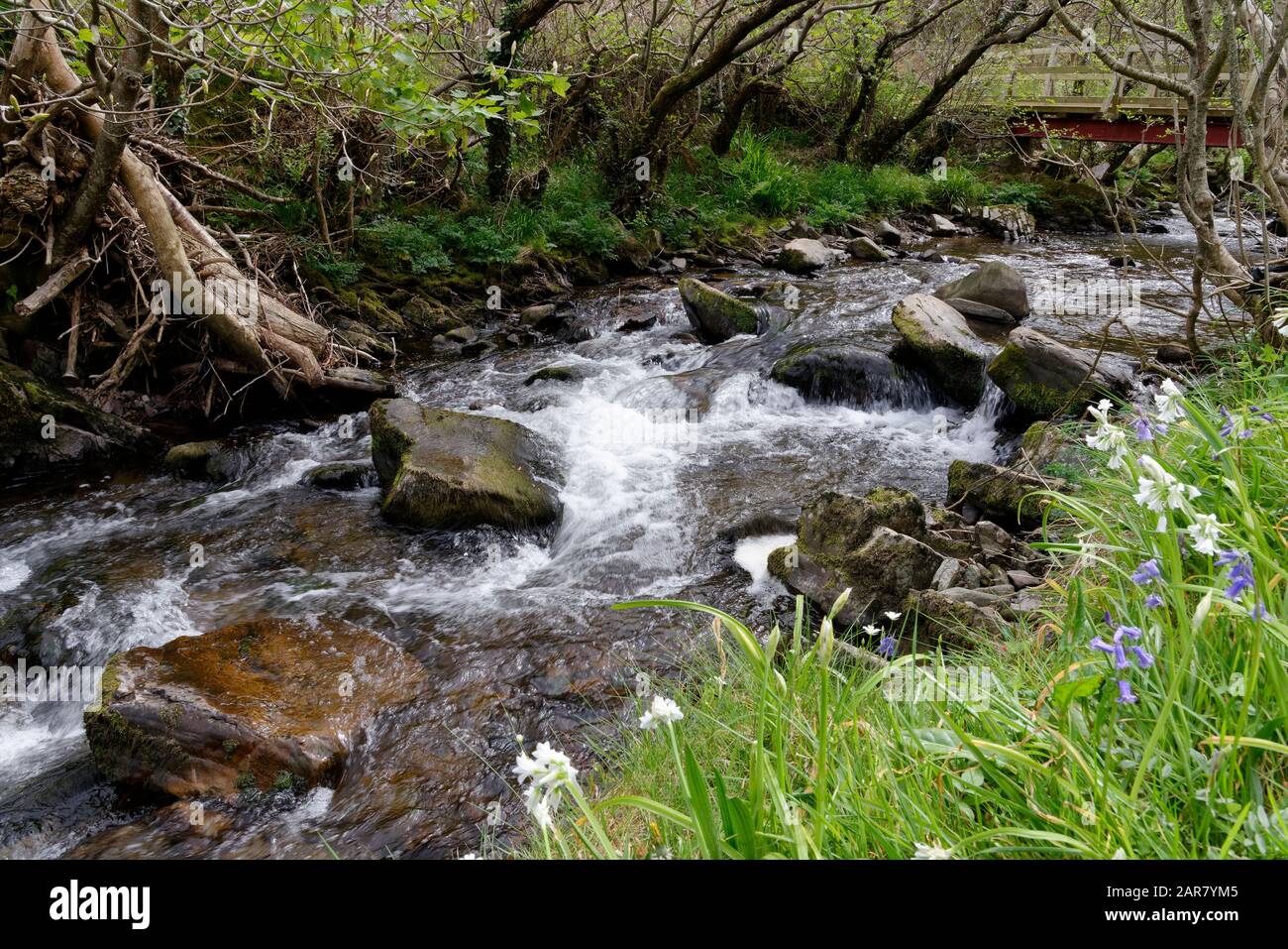 River Heddon at Heddon's Mouth, North Devon with Bluebell & Three ...