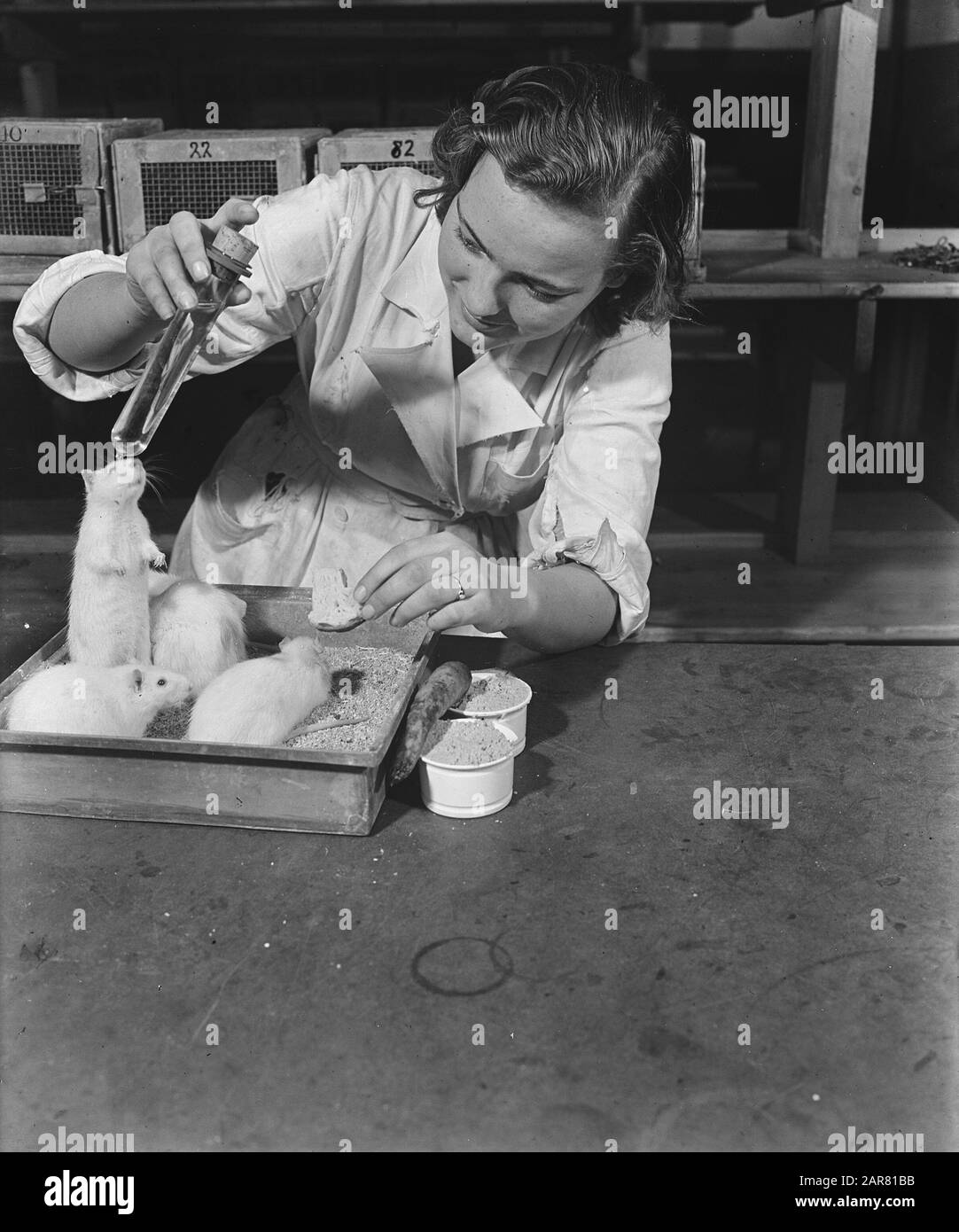 Rat test station hi-res stock photography and images - Alamy