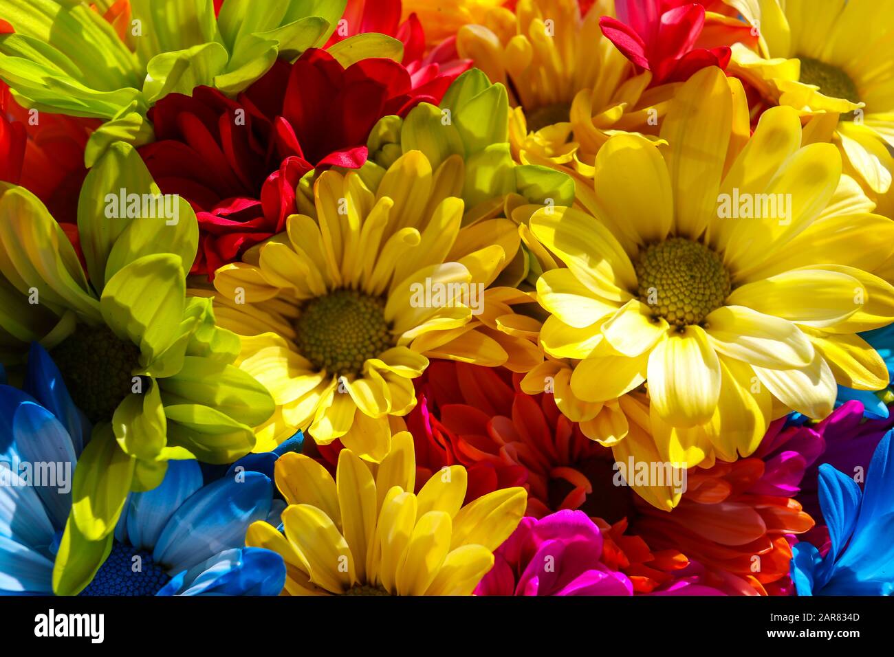 Flor color pastel hi-res stock photography and images - Alamy