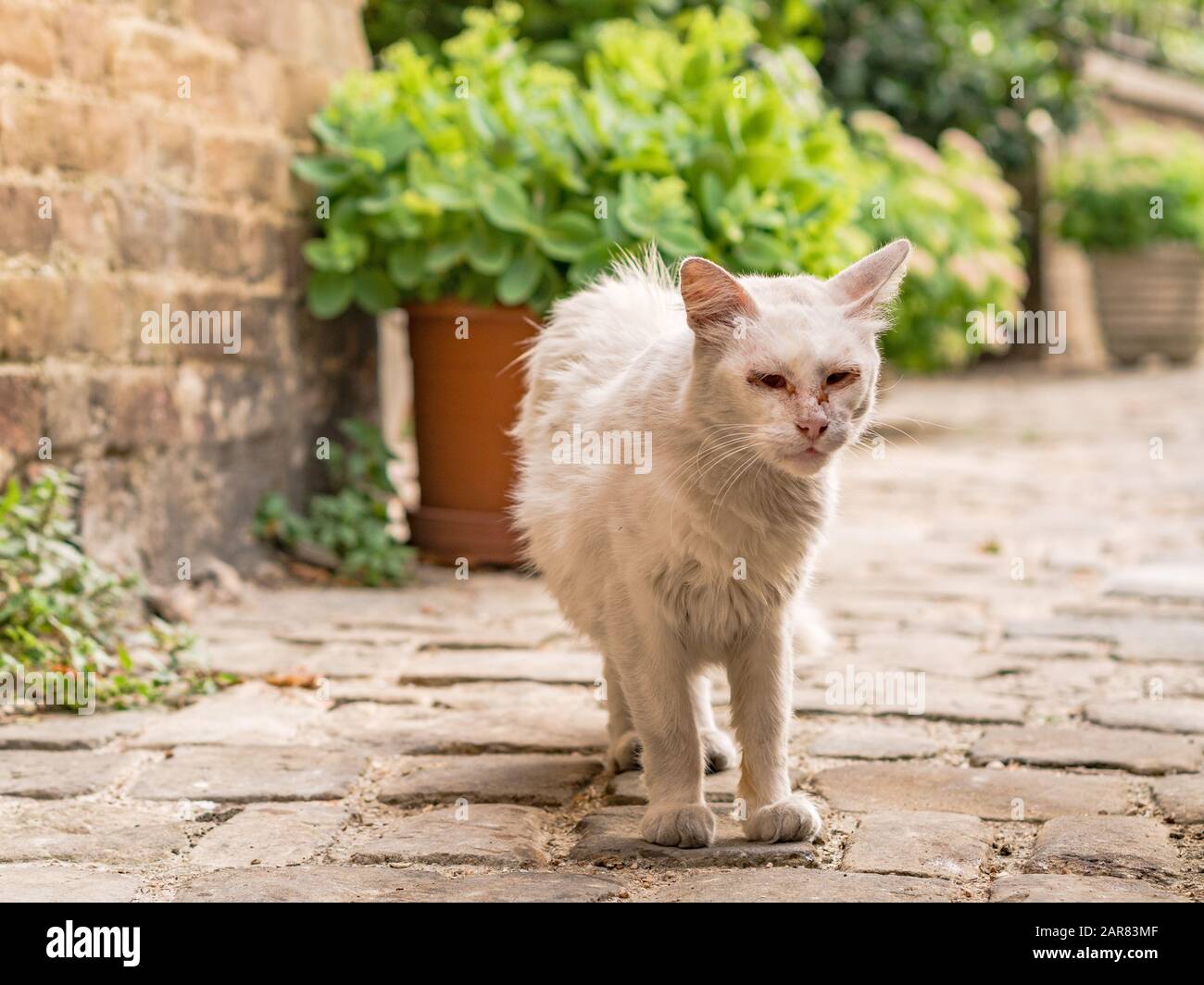 Creepy street hi-res stock photography and images - Alamy