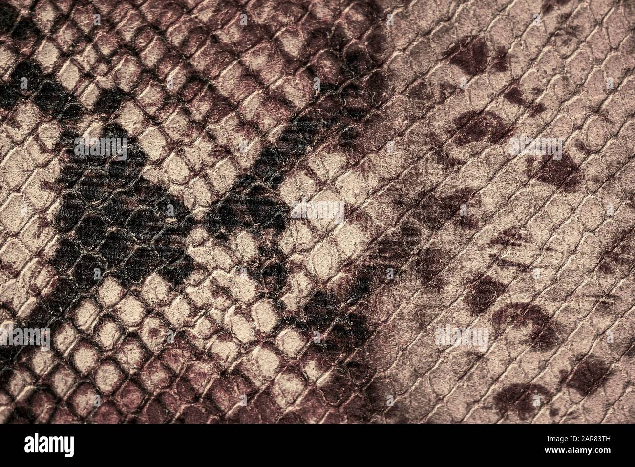 Wallpaper snake decoration hi-res stock photography and images - Alamy