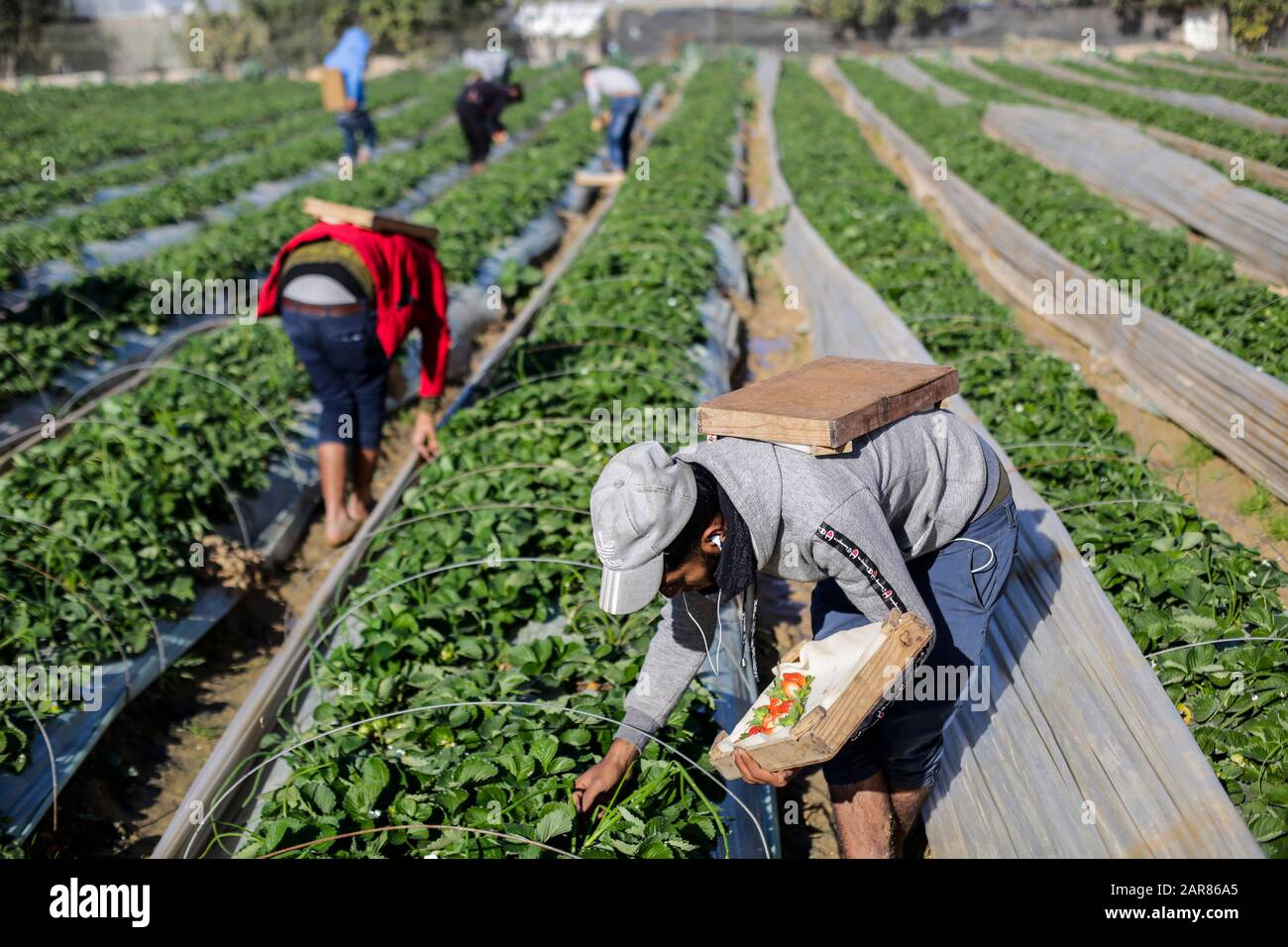 Farmer blockade hi-res stock photography and images - Alamy