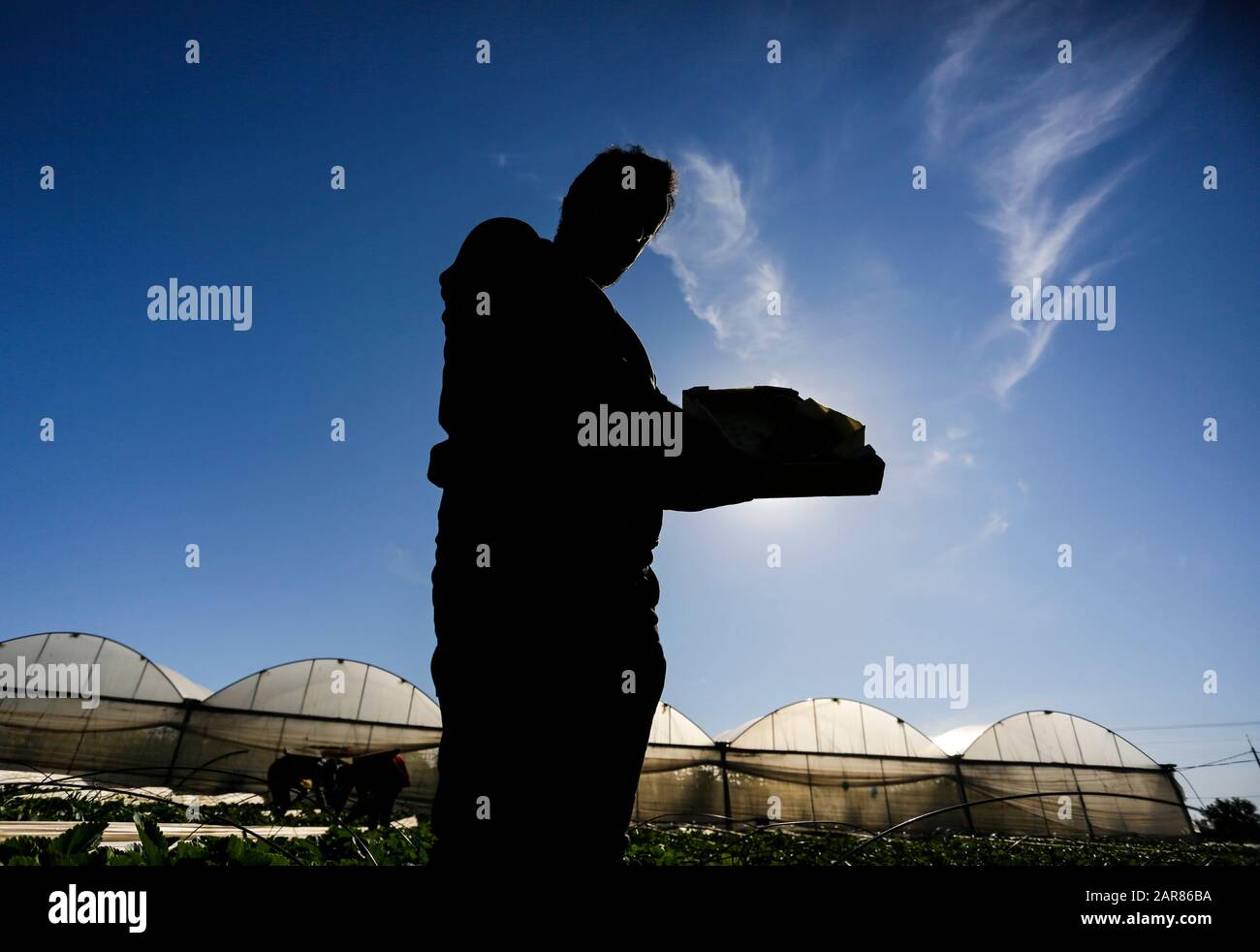Farmer blockade hi-res stock photography and images - Alamy