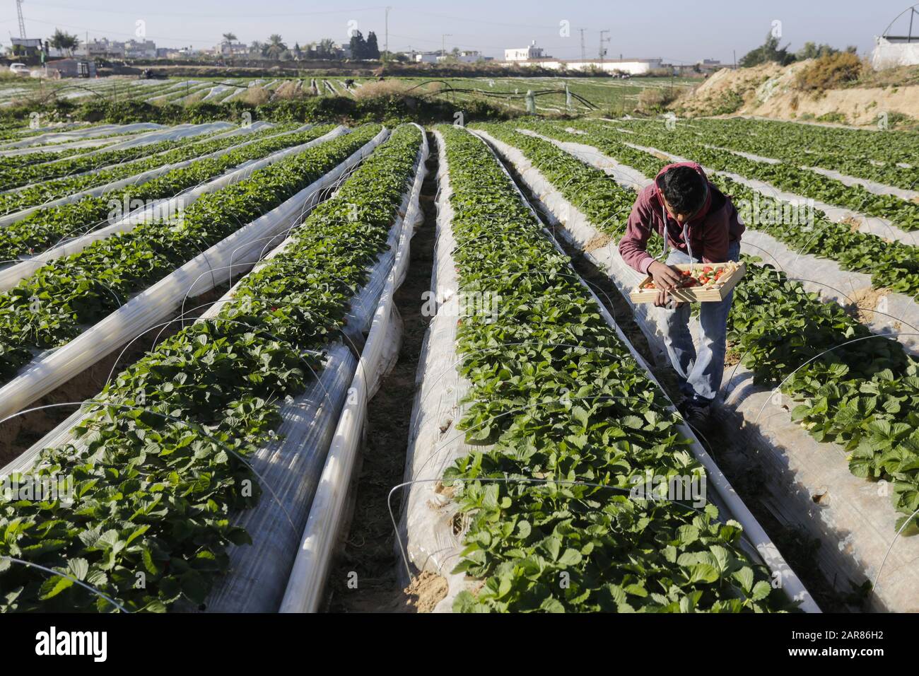 Farmer blockade hi-res stock photography and images - Alamy