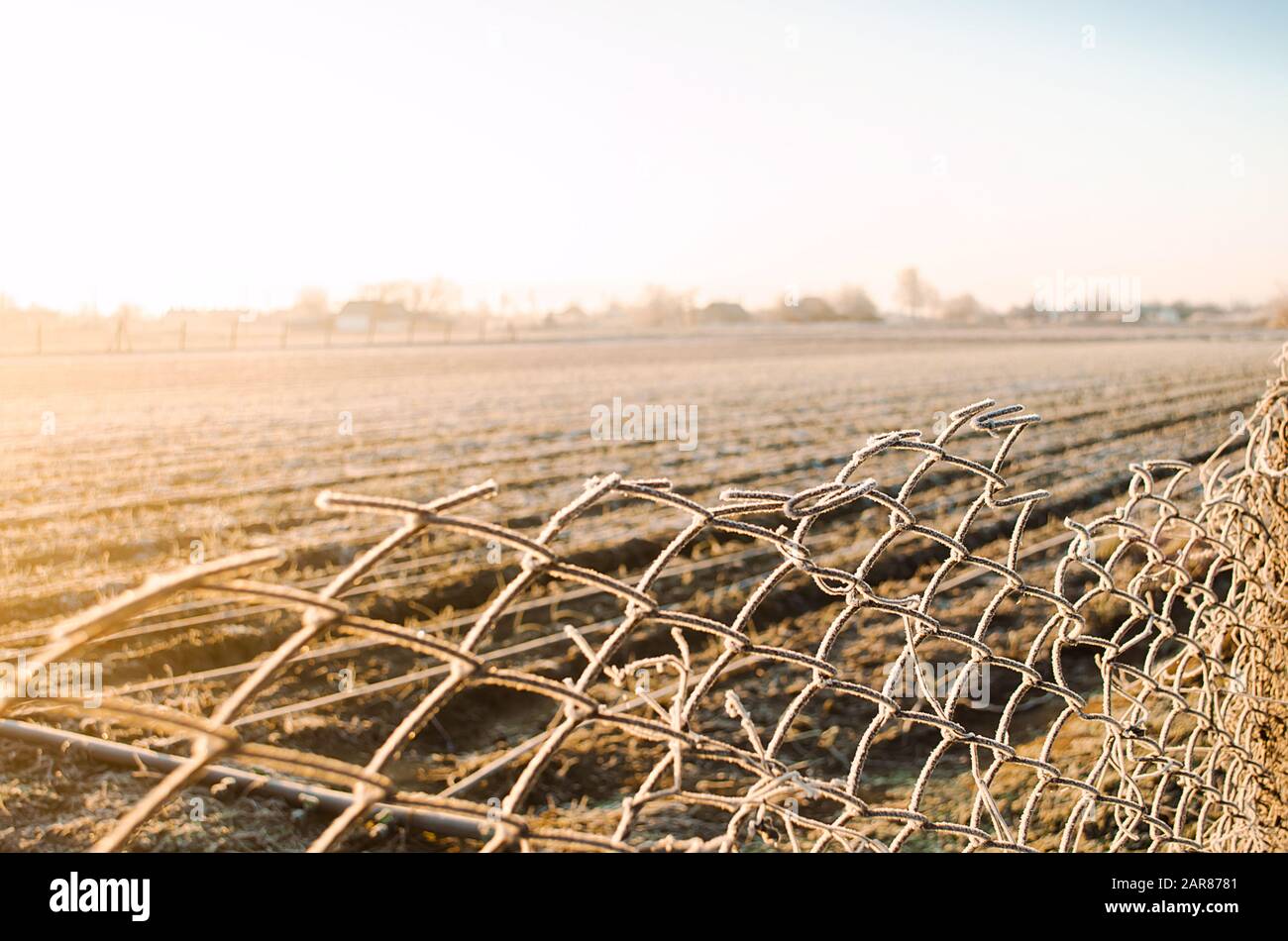 Winter farm field through view a mesh fence. Beautiful sunrise in ...
