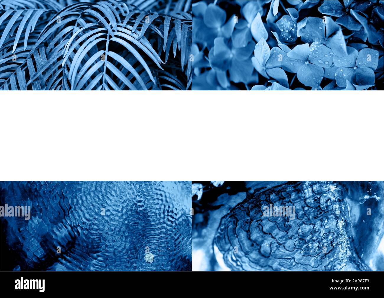 Collage in color 2020 classic blue.Trend, Horizontal frame Stock Photo ...