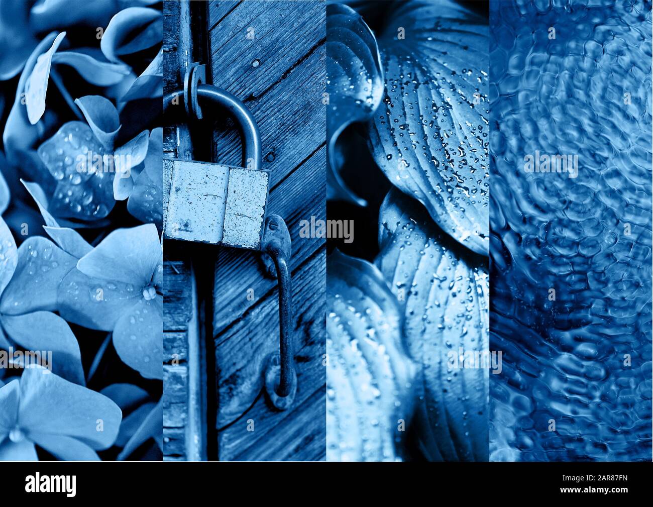 Collage in color 2020 classic blue.Trend, Horizontal frame Stock Photo ...