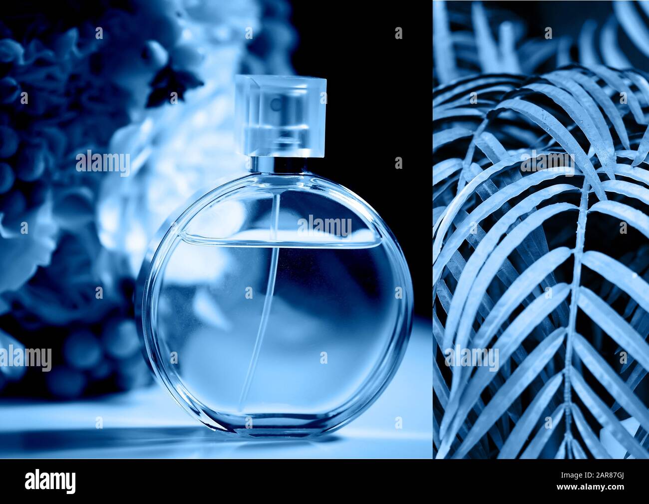 Collage in color 2020 classic blue.Trend, Horizontal frame Stock Photo ...