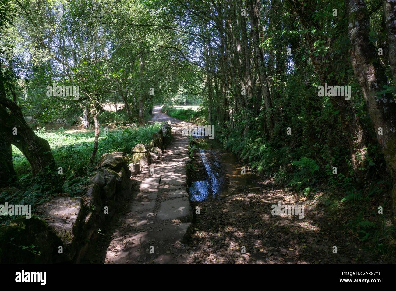 A stone footbridge crosses a stream on the route of the Camino de ...