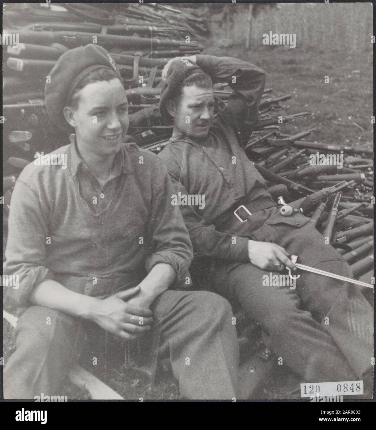 English polar bear division sitting hi-res stock photography and images ...