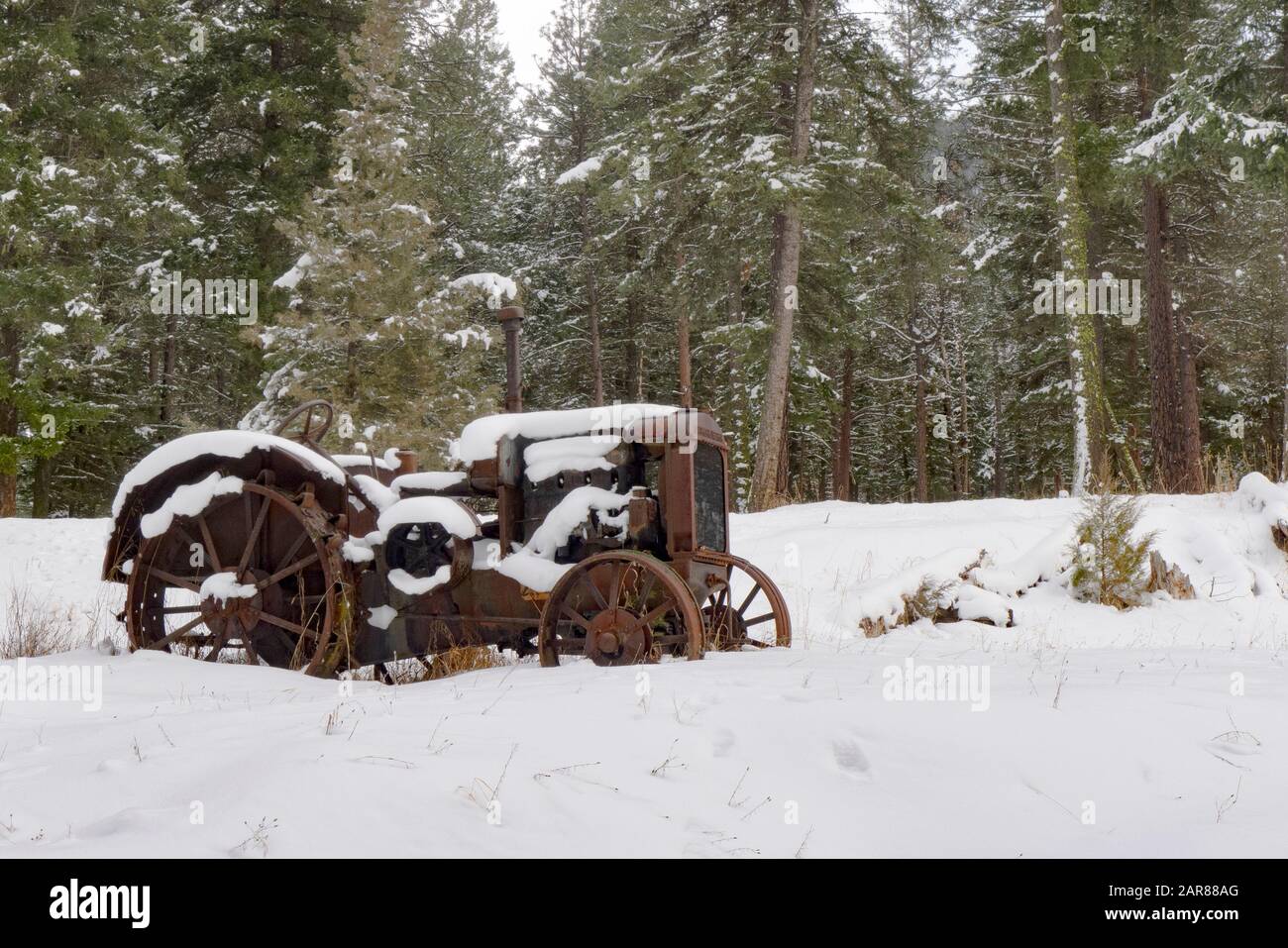 Mccormick deering model 10 20 tractor hi-res stock photography and ...
