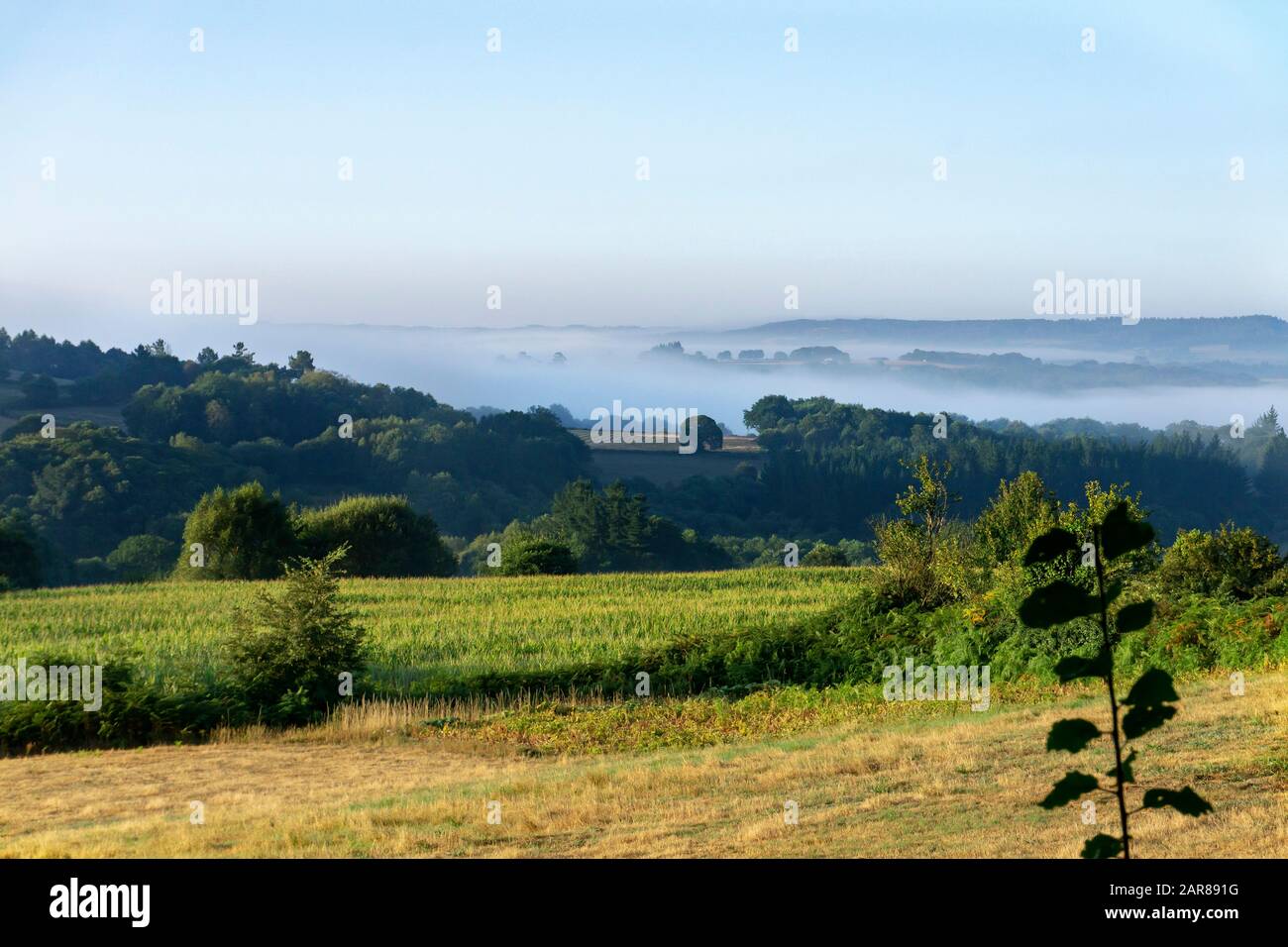 Landscape photo of the Galician countryside on the Camino de Santiago ...