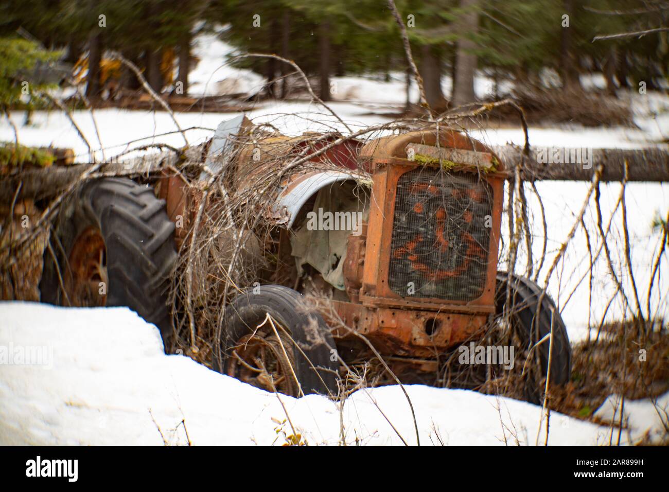 An old, red 1935 McCormick-Deering W30 2WD Tractor in the snow, in a ...