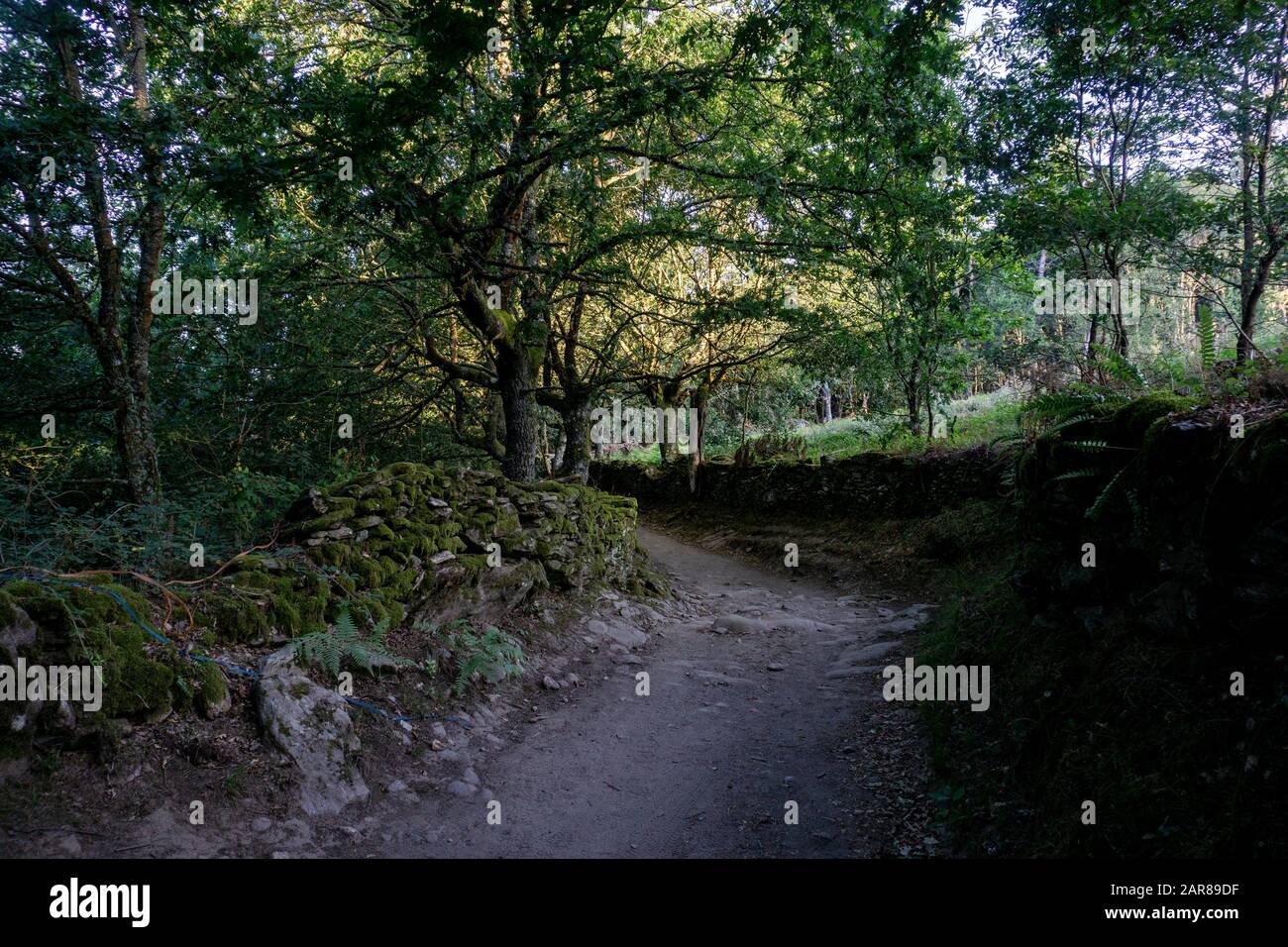 Roadside path pathway hi-res stock photography and images - Alamy