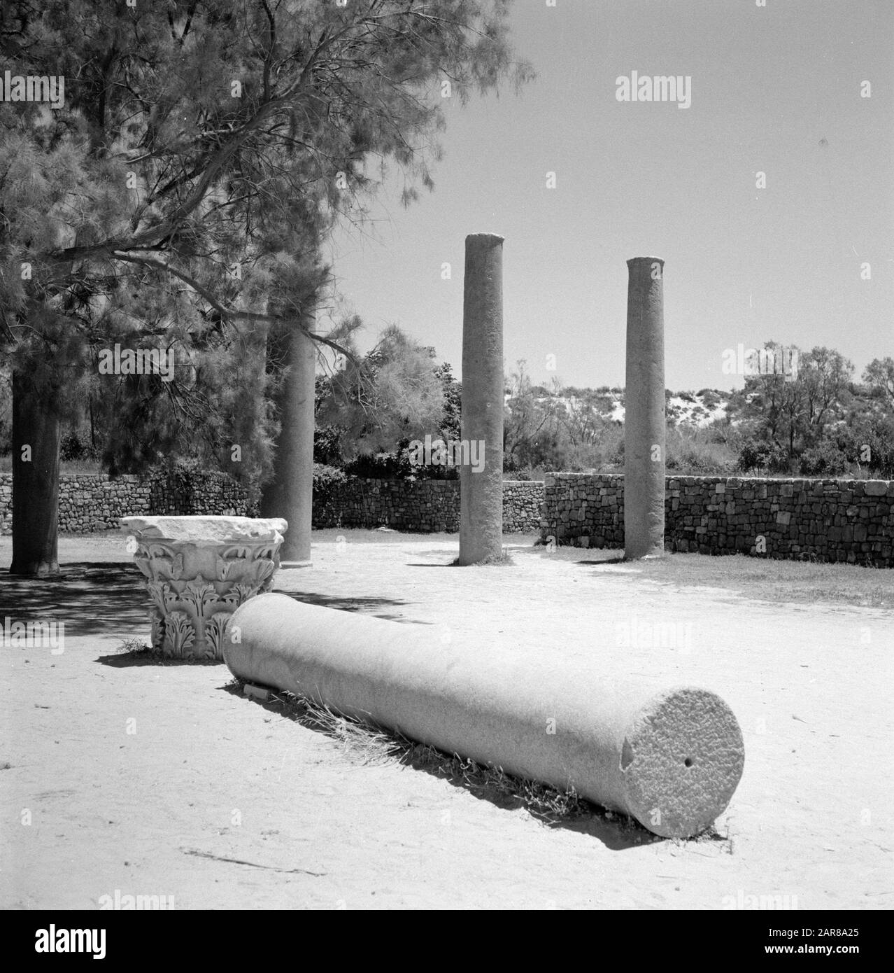 Israel 1964-1965: Ashkelon, archaeology Ruins on the Shephelah hills ...