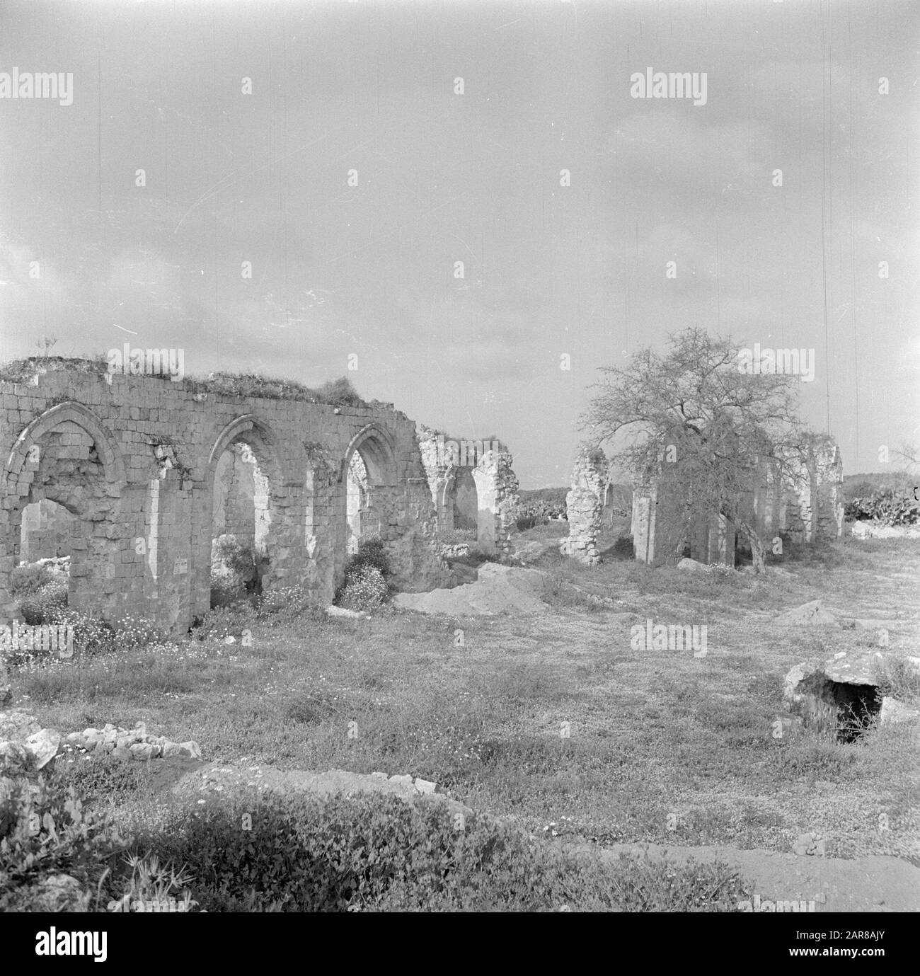 Ramle 1948 hi-res stock photography and images - Alamy