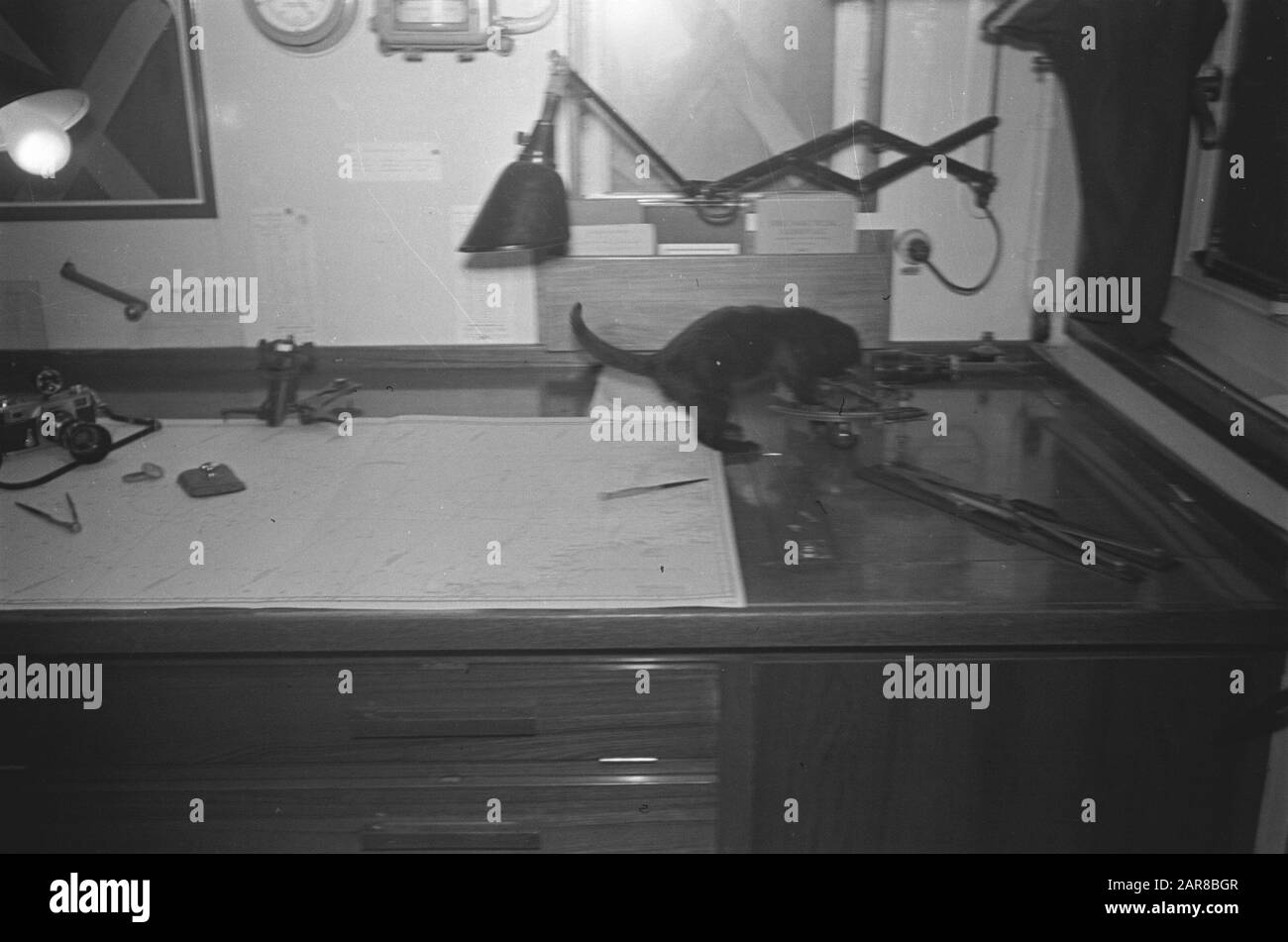 Ship's cat navy hi-res stock photography and images - Alamy