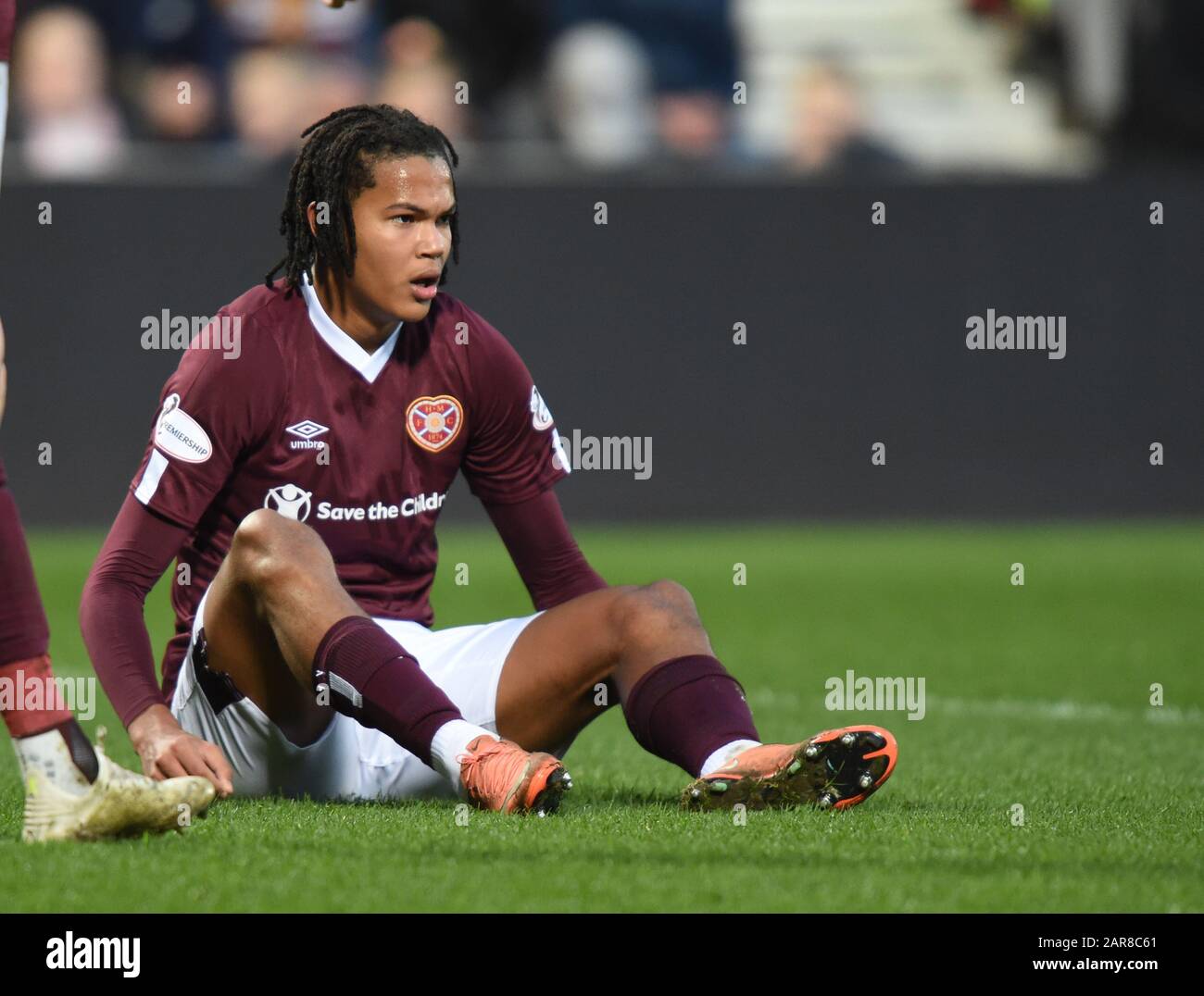 Toby 2020 hi-res stock photography and images - Alamy