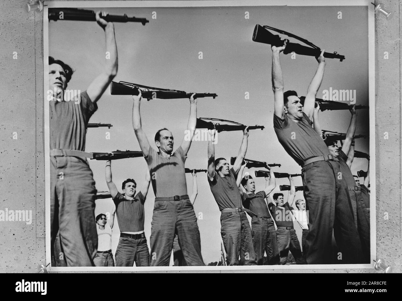 Series Training in Camp Lejeune for Dutch Marines. Gymnastics with ...