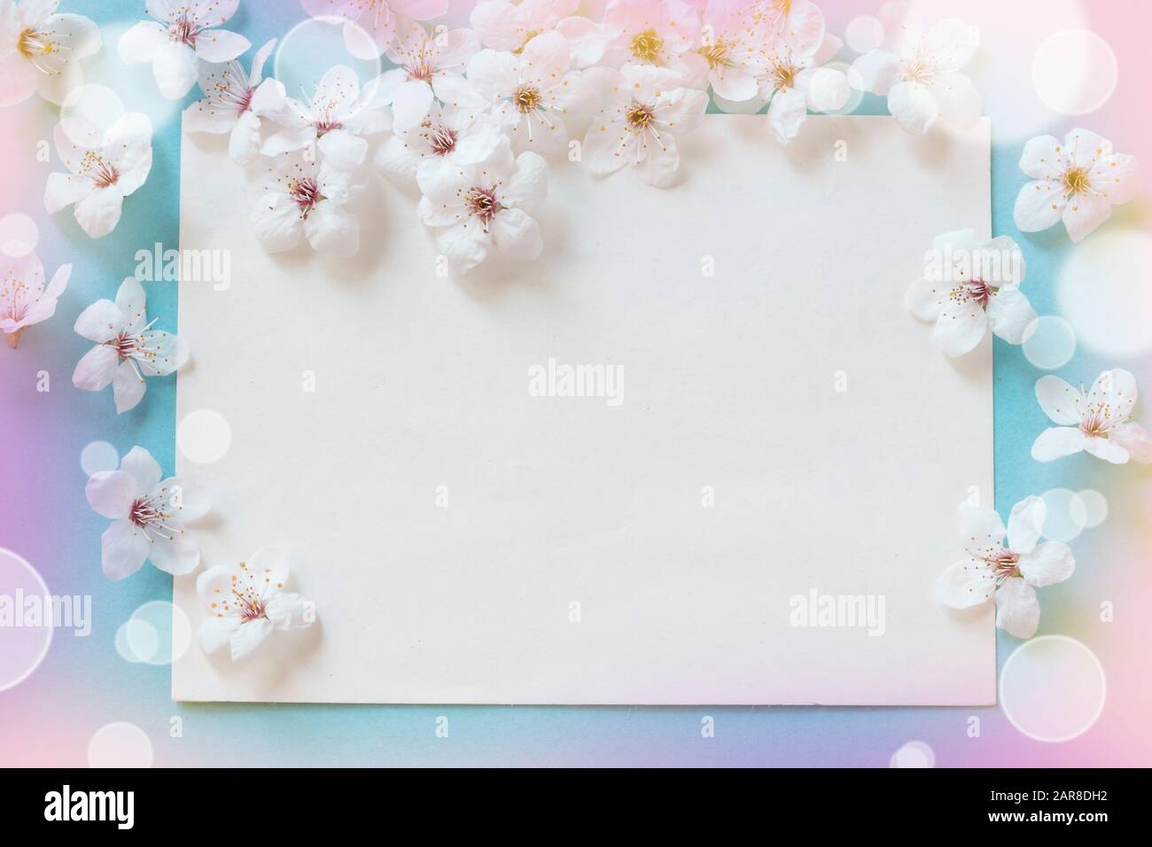 Spring blossom with a blank message Stock Photo - Alamy