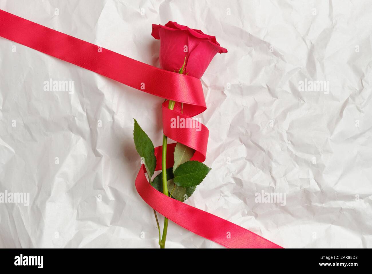 Beautiful red rose with ribbon on crumpled paper. Top view Stock Photo ...
