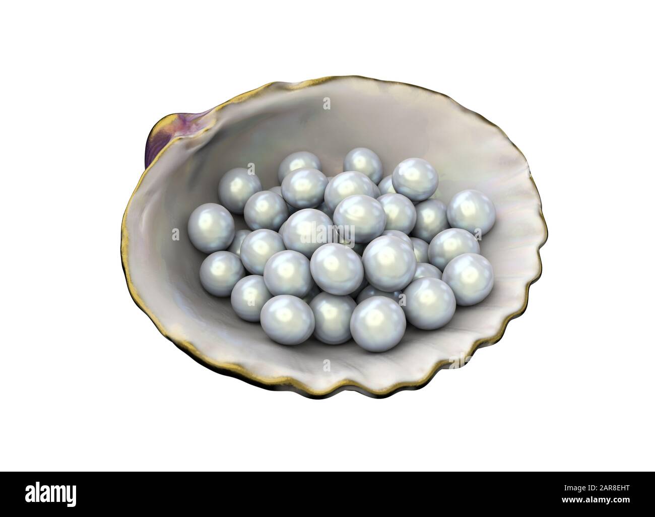 Open shell with white pearls isolated on white background. Beautiful ...