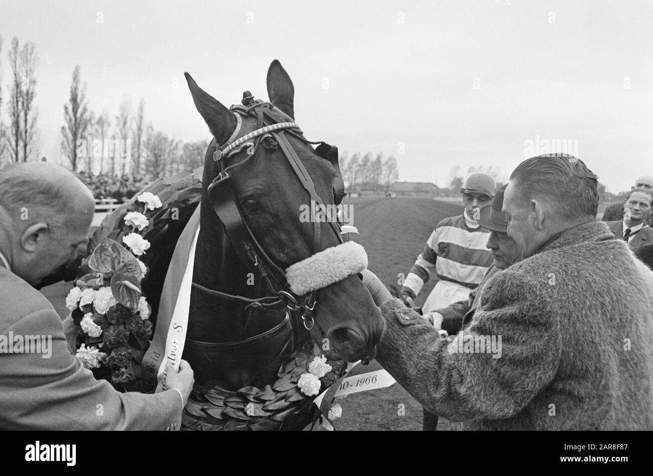Trotting track hi-res stock photography and images - Alamy