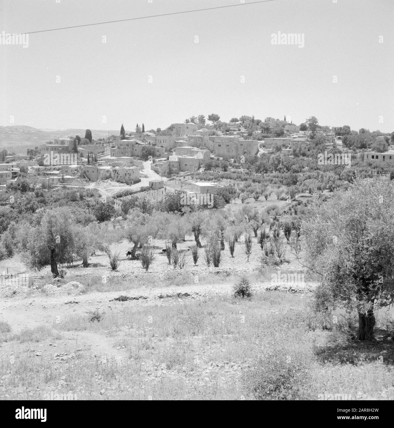 Israel 1964-1965: Jerusalem (Jerusalem), on the way City (Abu Ghosh ...
