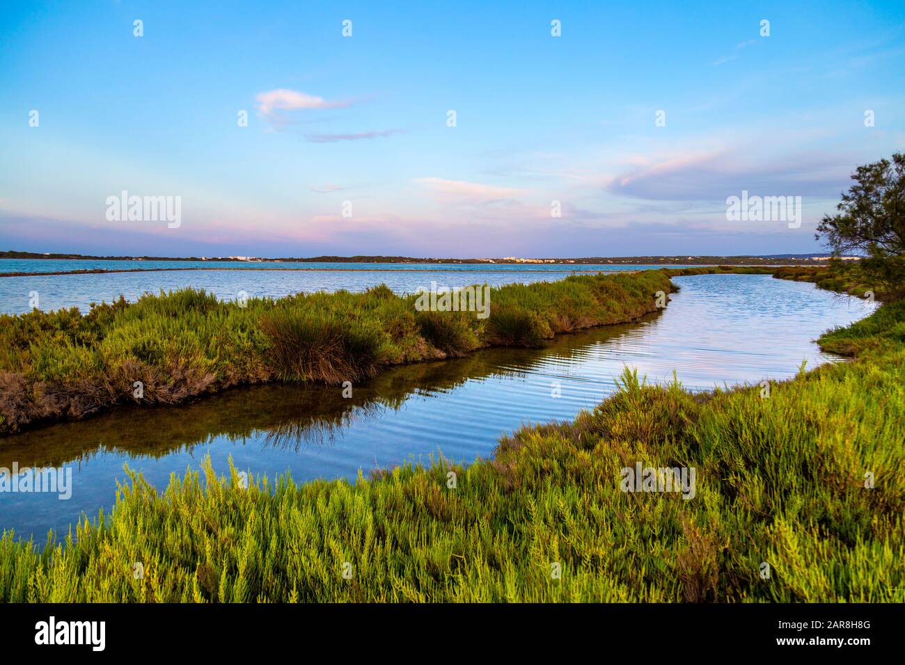 Estany Pudent Salt lagoon lake, Formentera, Balearic Islands, Spain ...