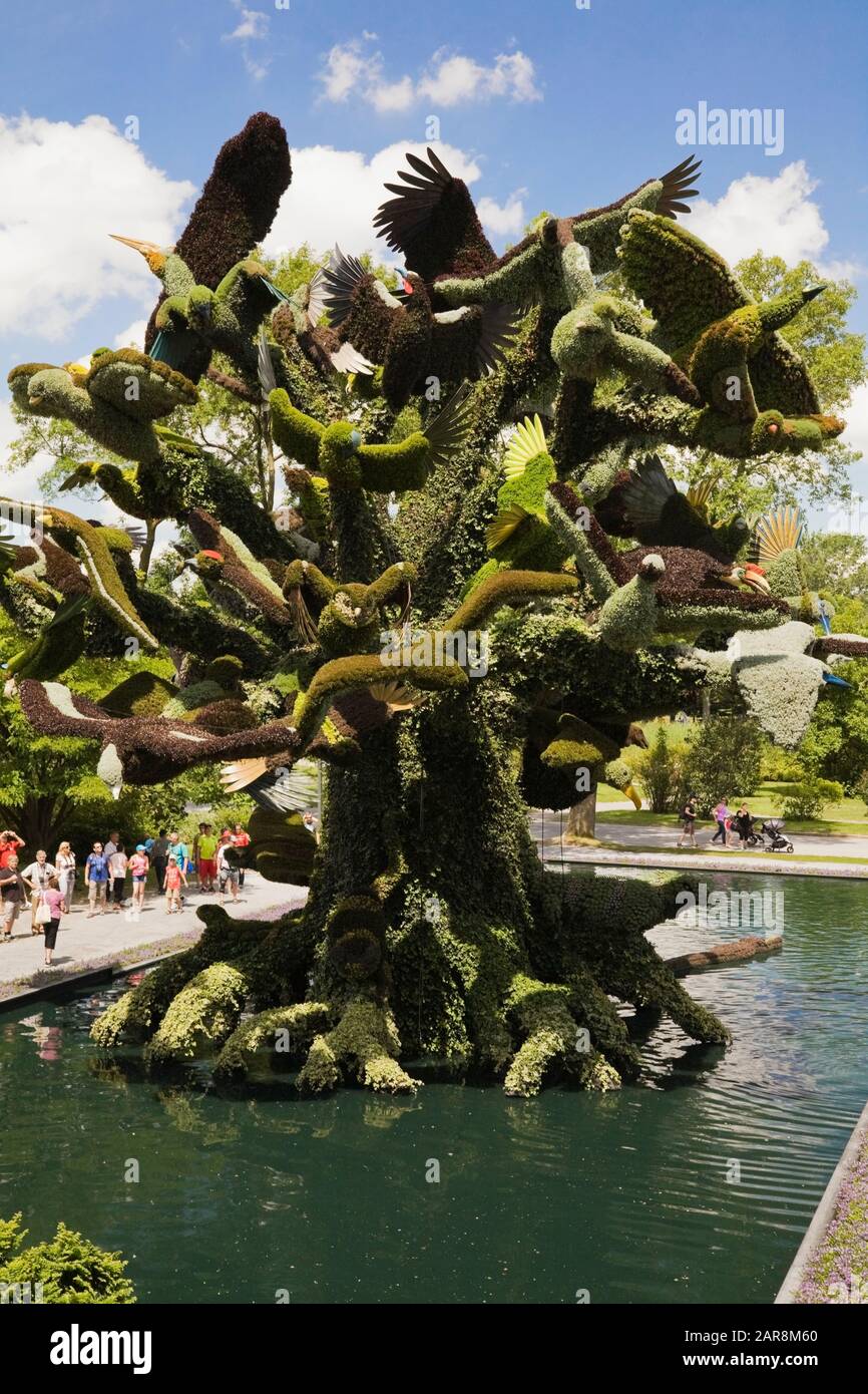 Montreal tree sculpture hi-res stock photography and images - Alamy