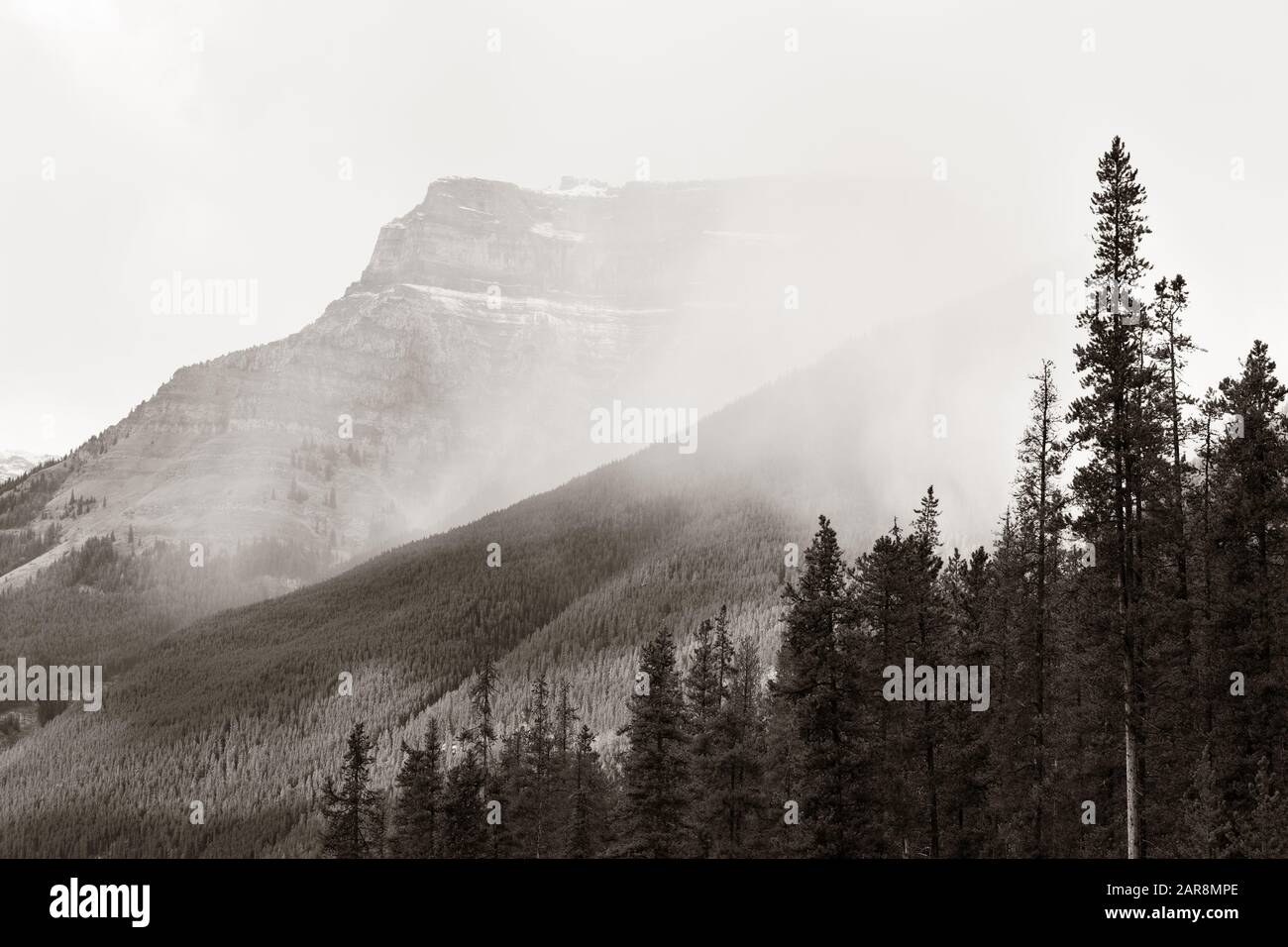 Snow Mountain closeup view in Banff National Park in Canada Stock Photo ...