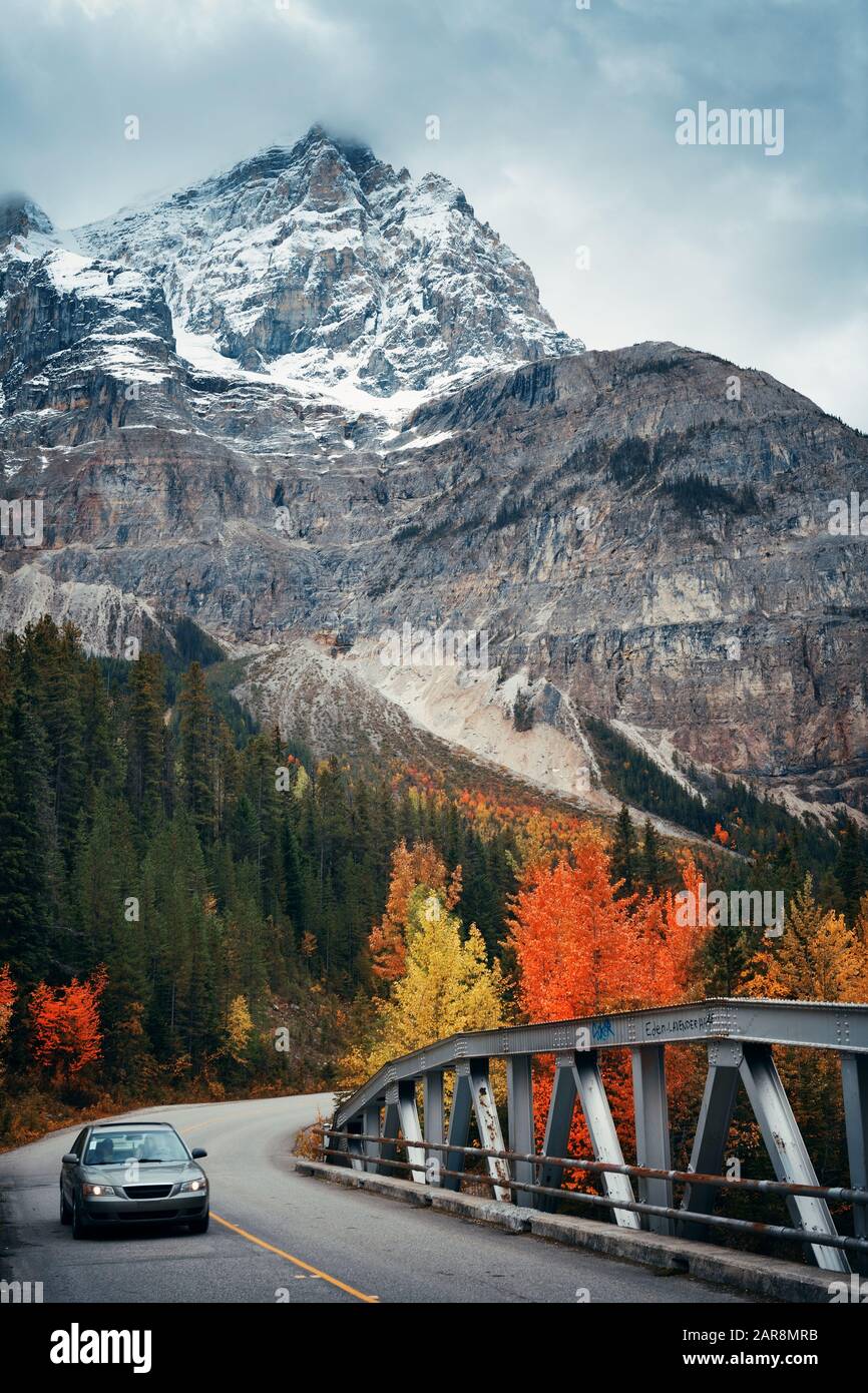 Car on road in Banff National Park in Canada Stock Photo - Alamy