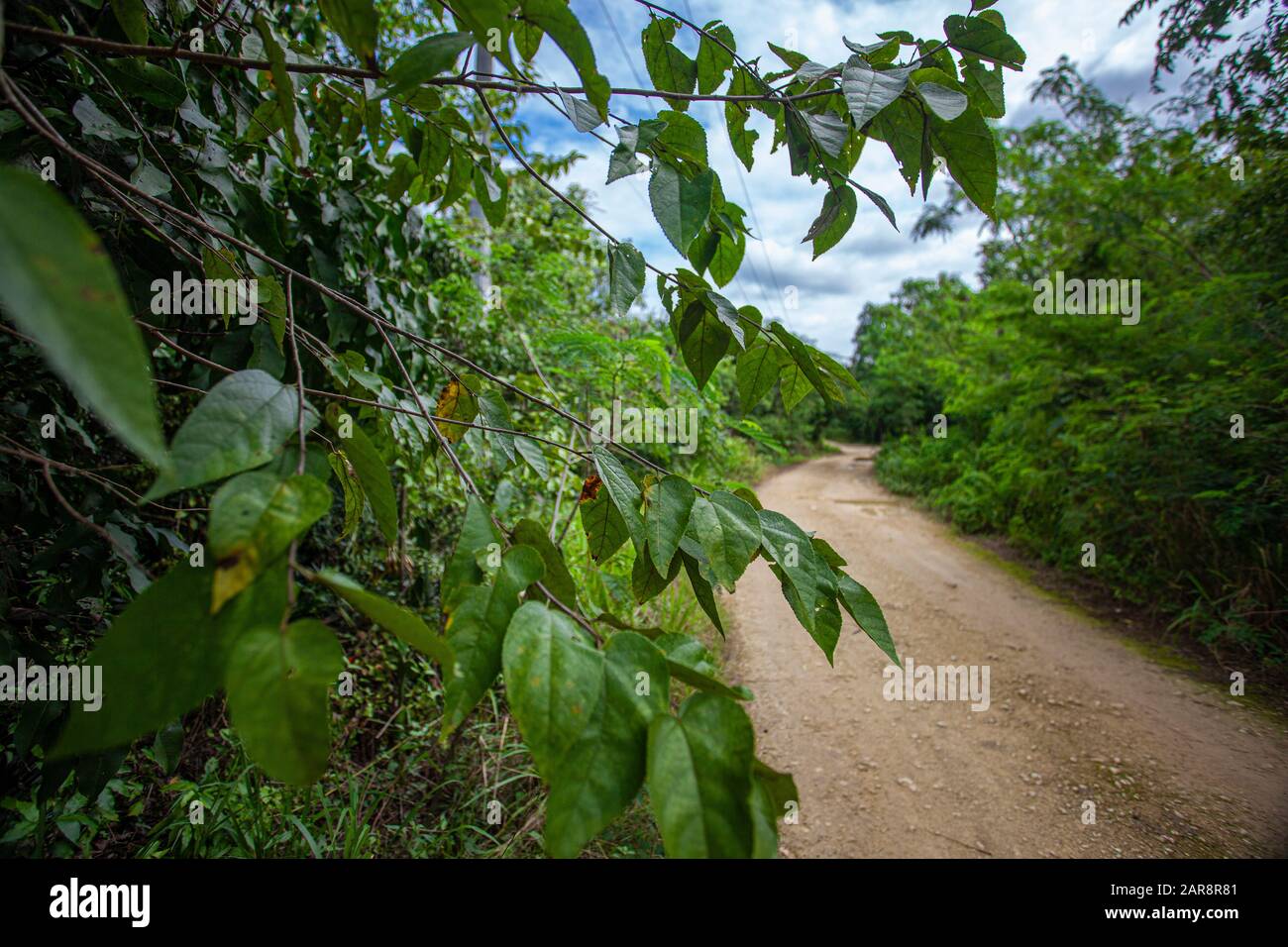 Cotubanama National Park in Dominican Republic 31 Stock Photo - Alamy