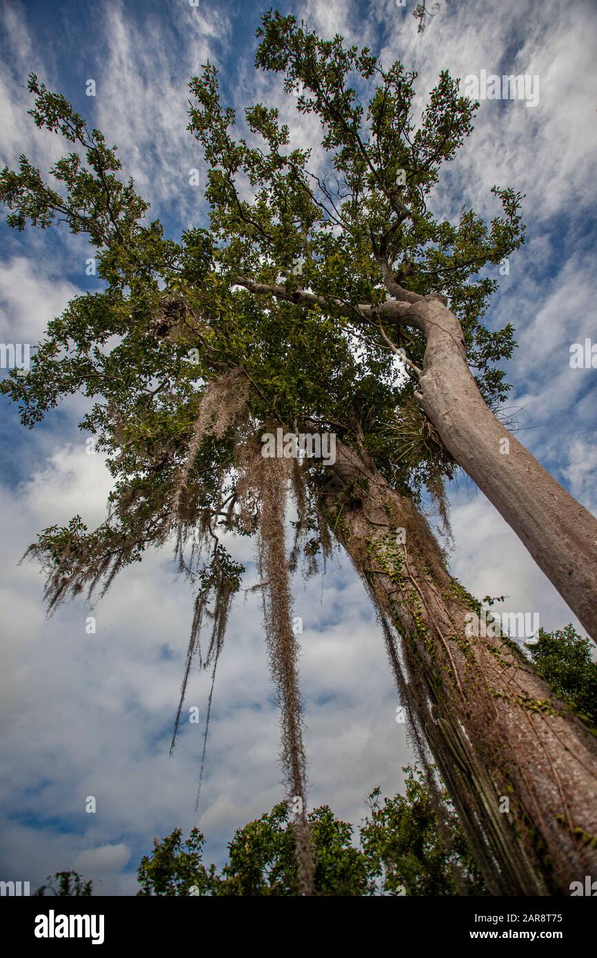 Cotubanama National Park in Dominican Republic 23 Stock Photo - Alamy